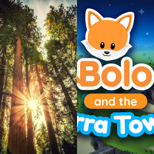 Student Lesson: TN 1.PS3-1 - Sunlight Warms Earth's Surface - Free ...