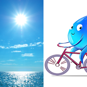 Lesson: The Role of the Sun and Ocean in the Water Cycle 5.8b - Free ...