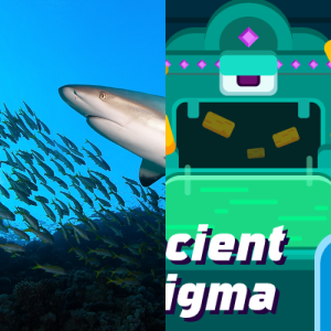 Student Lesson: Summarize Numeric Data With Numerical Summaries 6.12C ...