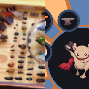 Lesson: Classify Objects by Observable Properties 1.5A - Free Games and ...