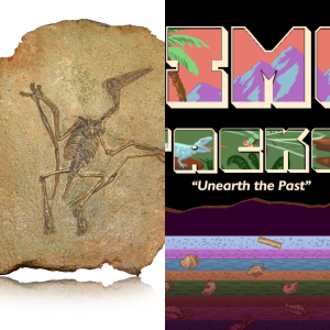 Practice: Fossils 5.9D - Free Games and Assessments - Legends of Learning