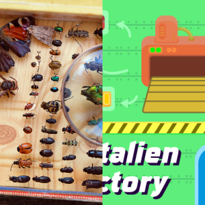 Free Lesson: Collect, Sort and Organize Data K.8A - Free Games and ...