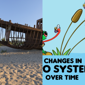 Lesson: Changes in Ecosystems 6.LS2.6 - Free Games and Assessments ...