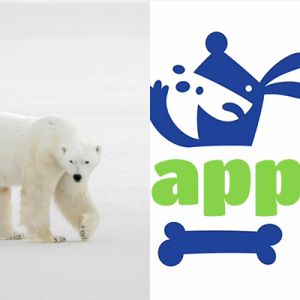 Free Lesson: Inherited Traits and Environmental Influences 5.LS3.1 ...