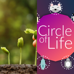 Free Educational Games: Life Cycles of Living Organisms 4.10c - Free ...