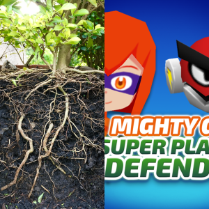 Free Lesson: Assignment - Plants - Free Educational Games - Legends of ...