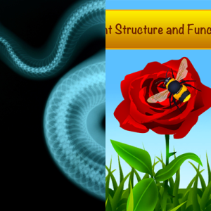 Free Homework Prep: Animal Structure and Function 3.LS1.1 - Free Games ...