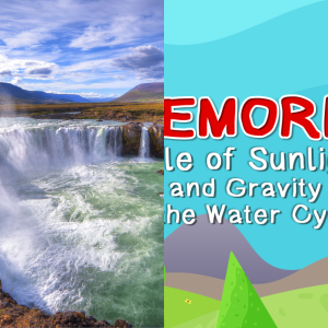 Free Homework Prep: Role of Sunlight and Gravity in the Water Cycle MS ...