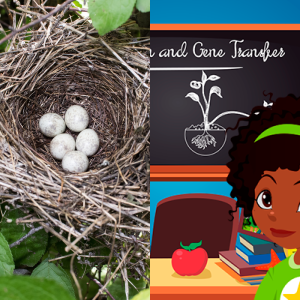 Free Homework Prep: Growth and Development of Organisms ES-LS1.B-1 ...