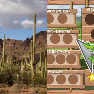 Lesson: Factors Influencing Growth of Individuals and Populations MS ...