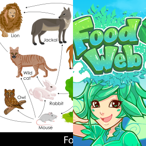 For Class: Food Webs in an Ecosystem MS-LS2.B-1 - Free Games and ...