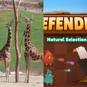 Free Educational Games: Natural Selection and Selective Breeding 7.11C ...