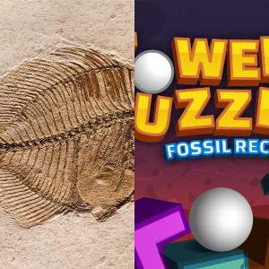 Game Based Learning: Tower Puzzle Fossil Record - Free Educational ...