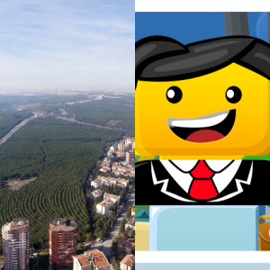 Free Homework Prep: Biodiversity and Humans 3.LS4.3 - Free Educational ...