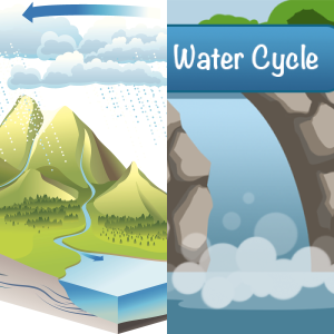 Free Lesson: Game Assignment The Water Cycle Game - Free Educational ...
