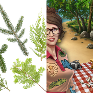 Worksheet: Dichotomous Keys for Identification 7.11A Assignment ...