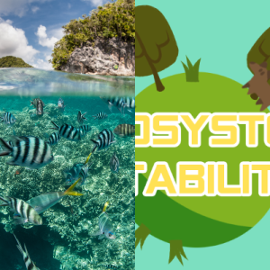 Teaching Plan: Ecosystem Stability ES-LS2.A-1b - Free Games and ...
