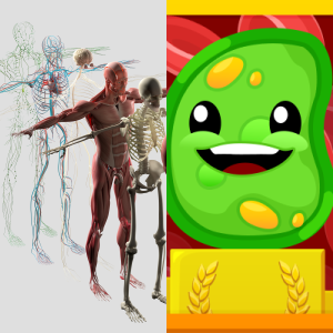 Free Educational Games: Human Body Systems 7.12B - Free Games and ...
