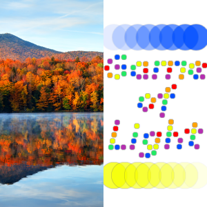 Lesson: Reflection, Absorption, and Transmission of Light MS-PS4.B-1 ...