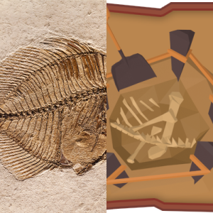 Lesson: The Fossil Record 8.LS4.1 - Free Games and Assessments ...