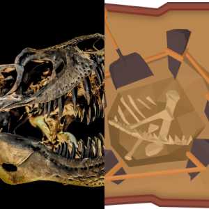 Game Based Learning: The Fossil Record MS-LS4.A-1 - Free Educational ...