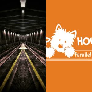 For Class: Rotate, Reflect And Translate Parallel Lines 8.G.A.1.c ...