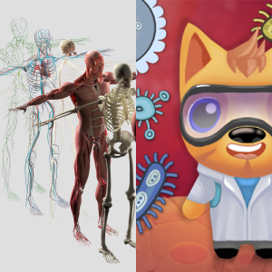 Game Based Learning: The Body's Subsystems 7.LS1.5 - Free Games and ...