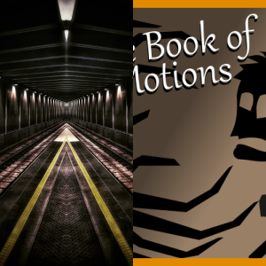 Lesson: Rotate, Reflect, & Translate Parallel Lines - Free Games and ...