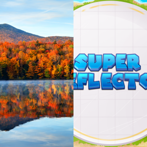 For Class: Reflection, Absorption, and Transmission of Light MS-PS4.B-1 ...