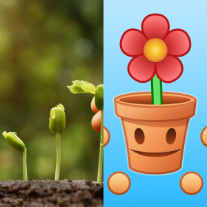 Student Lesson: Photosynthesis - Review - Free Games and Assessments ...