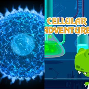 Lesson: Survival of Singular vs Multicellular Organisms 5.L.1.1 - Free ...