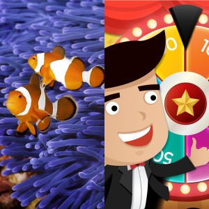 Practice: Competitive, Predatory, and Mutually Beneficial Interactions ...