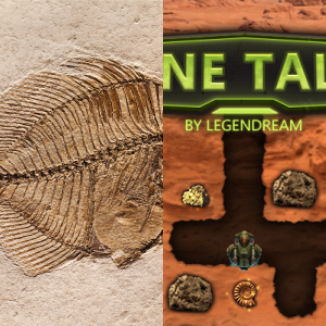 Lesson: Fossils and Geologic Patterns 5.8e - Free Games and Assessments ...