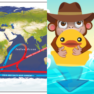 Worksheet: Ocean Currents Review LOL Game - Free Games and Assessments ...