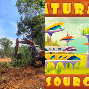 Student Lesson: Impact of Human Activity on Earth SC.7.E.6.6 - Free ...