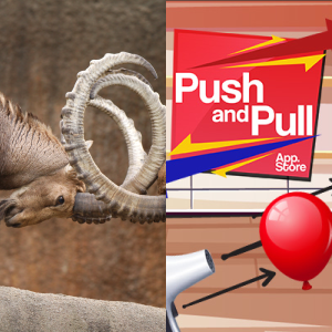 Game Based Learning: Pushing and Pulling Affects the Motion of the ...