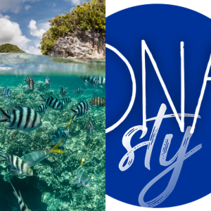 For Class: Ecosystem Stability 5.LS2.1-2 - Free Games and Assessments ...