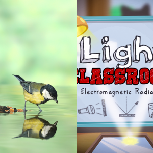 Practice: Reflection of Light from Reflective Surfaces 5.3d - Free ...