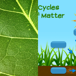 Free Educational Games: Photosynthesis 4.2a - Free Games and ...
