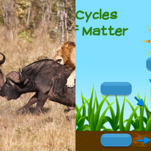 Lesson: Producers vs. Consumers 4.9A - Free Games and Assessments ...