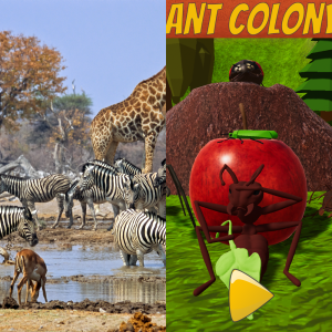 Game Based Learning: Ant Colony Ecosystem Interdependence - Free Games ...