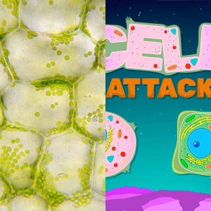 Free Educational Games: 9. Observing Multicellular Organisms - Free ...