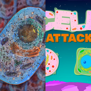 Teaching Plan: Cell Structure Review - Free Games and Assessments ...