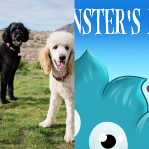 Practice: Variation of Inherited Traits MS-LS3.A-2 - Free Games and ...