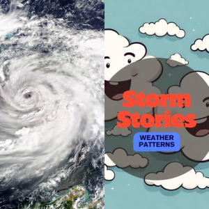 Free Educational Games: Factors Determining Weather SC.5.E.7.3 - Free ...