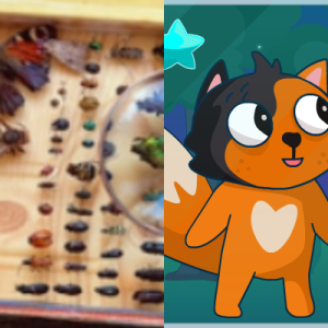 Student Lesson: Plot, Order and Compare Numbers to 10,000 MA.3.NSO.1.3 ...