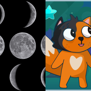 Lesson: Phases of the Moon S4E2.b - Free Games and Assessments ...