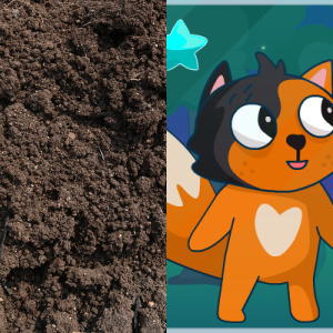 Teaching Plan: Soil Brainpop Jr Easy Quiz - Free Games and Assessments ...