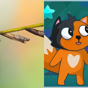 Free Lesson: Life Cycles of Florida's Plants and Animals SC.4.L.16.4 ...