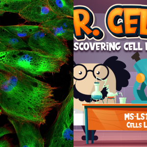 Student Lesson: Cells and Life 6.12A - Free Games and Assessments ...